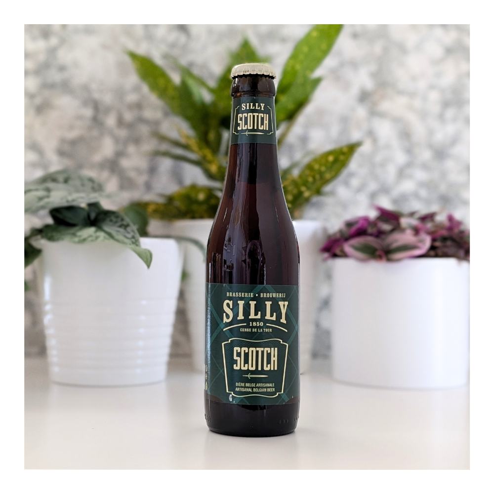 Brasserie de Silly Scotch Silly Scotch Ale – Collective - A Craft Beer Shop