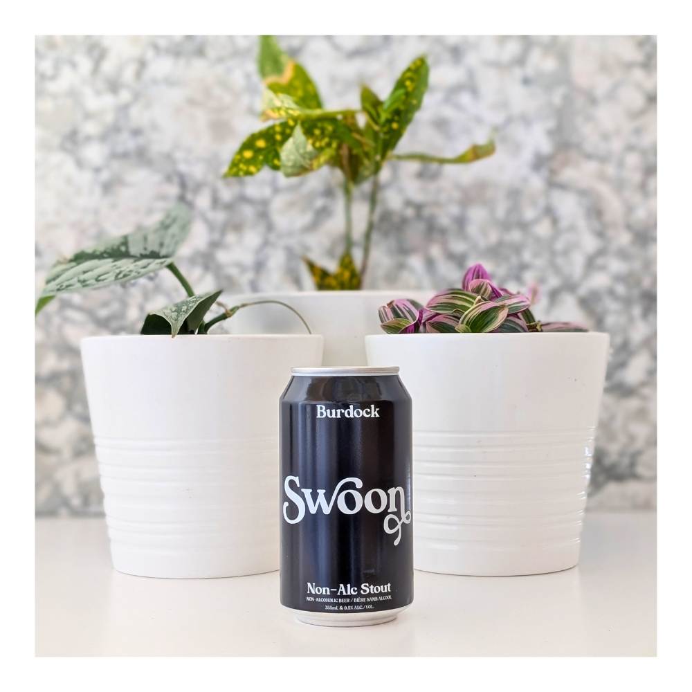 Burdock Brewery Swoon Non-Alc Stout – Collective - A Craft Beer Shop