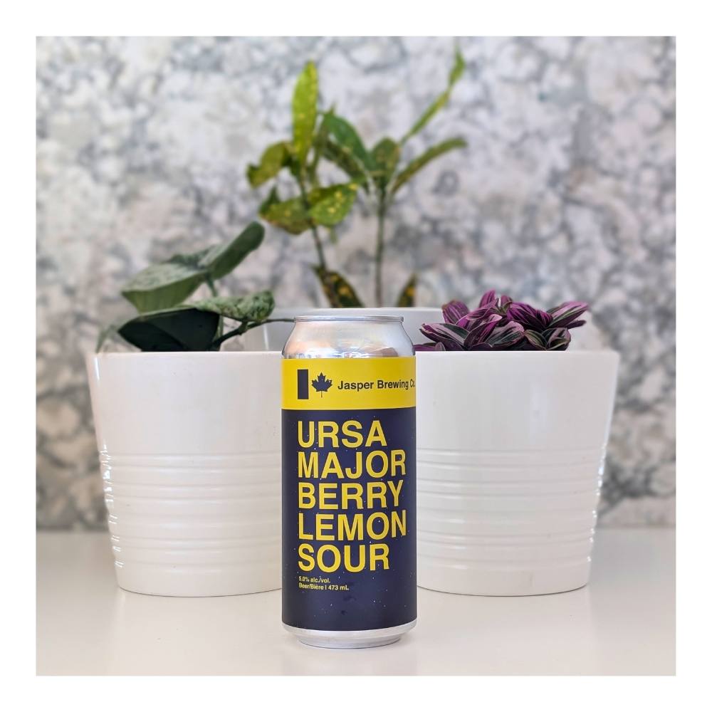 Jasper Brewing Co. Ursa Major Sour – Collective - A Craft Beer Shop