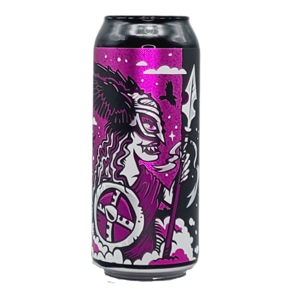 New Level Brewing Valkyrie Fruit Beer – Collective - A Craft Beer Shop