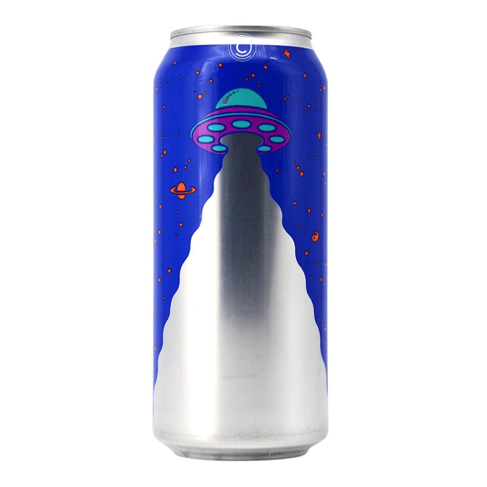 Omnipollo Brewing Aniara Raspberry Sour – Collective - A Craft Beer Shop