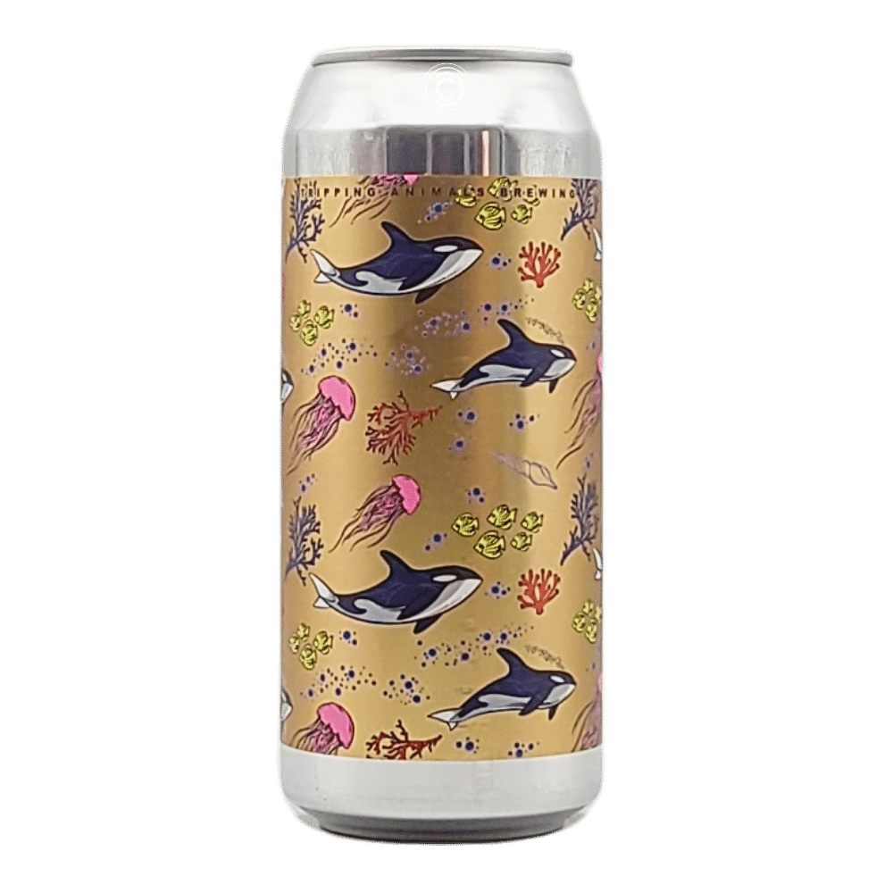 Tripping Animals Brewing Co. Killer Kolsch – Collective - A Craft Beer Shop